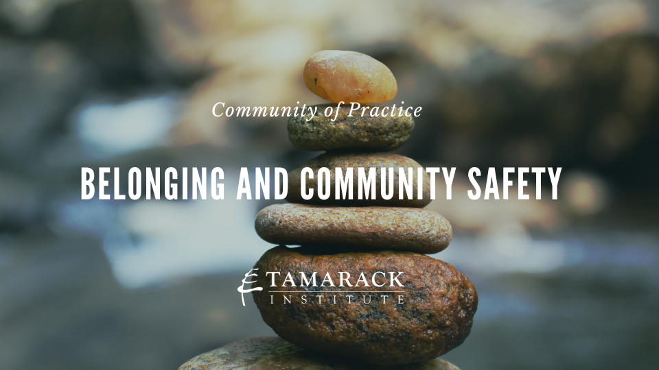 Community of Practice | Community's Role in Safety Community of Practice