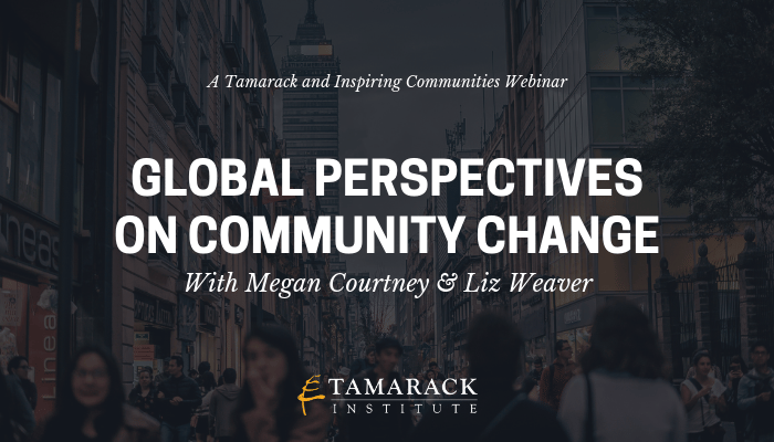 WEBINAR | Global Perspectives on Community Change