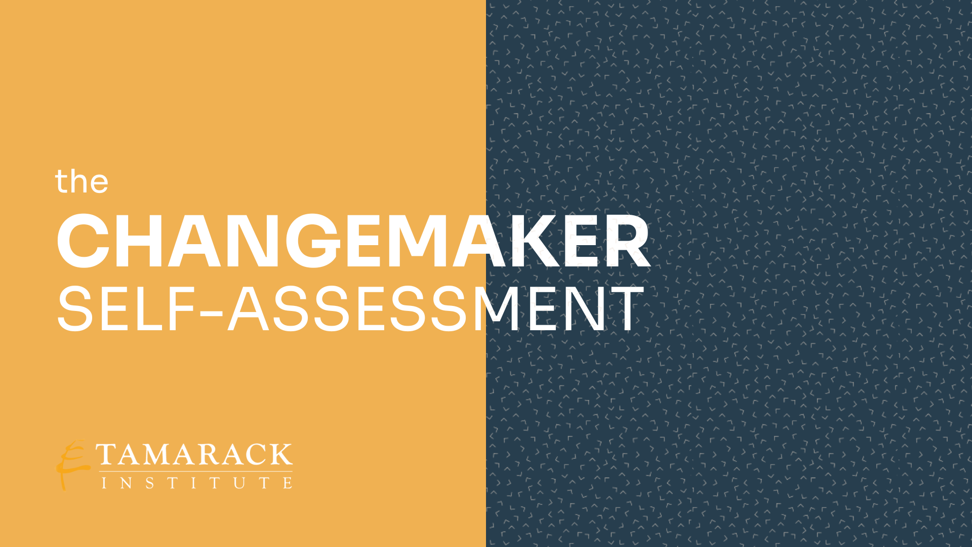 Changemaker Self-Assessment