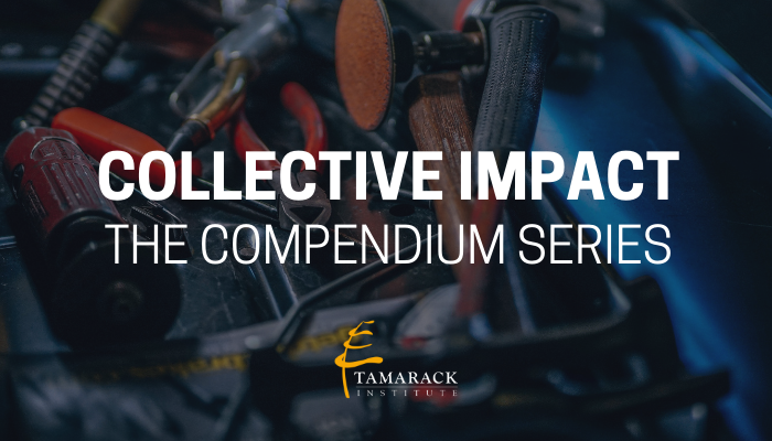 The Collective Impact Compendium Series